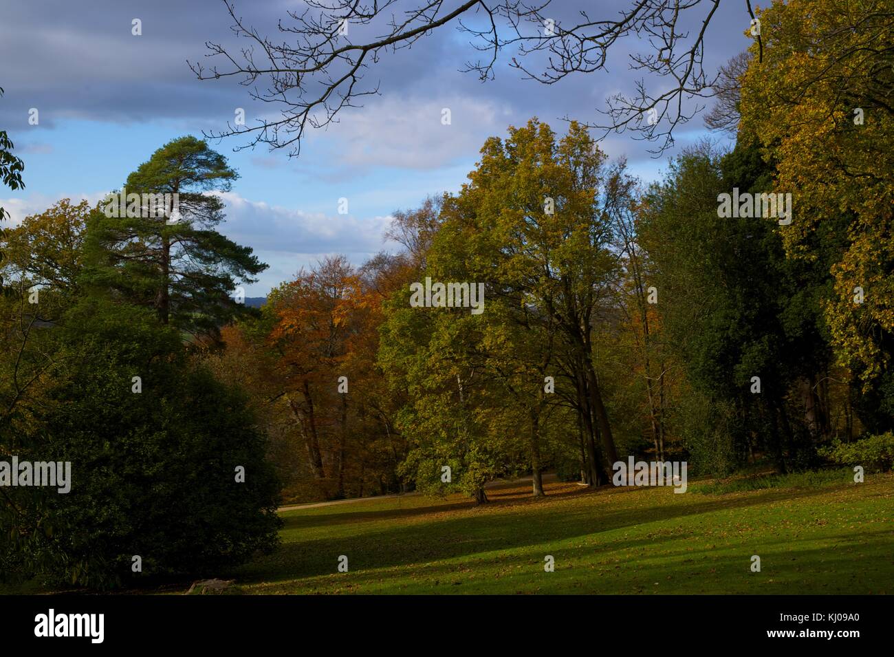 Chiltern Estate, National Trust Stock Photo - Alamy