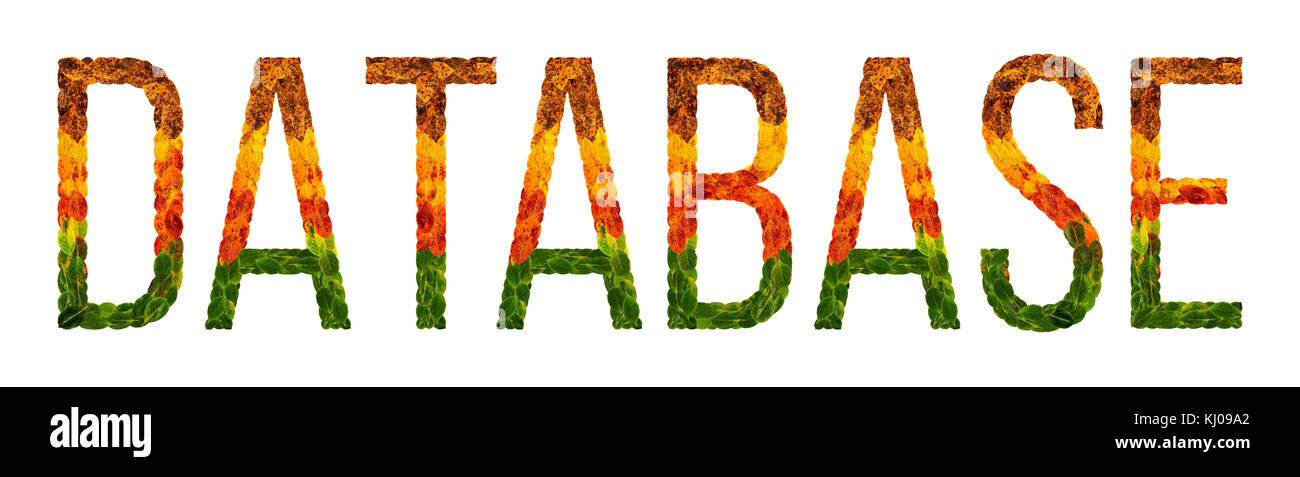 word Database written with leaves white isolated background, banner for ...