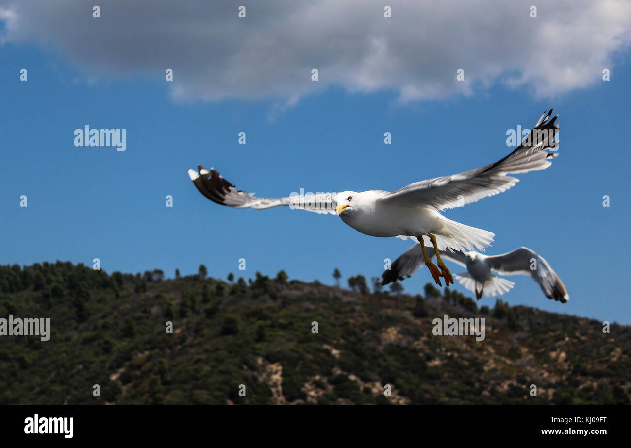 Hello sunrise hi-res stock photography and images - Alamy