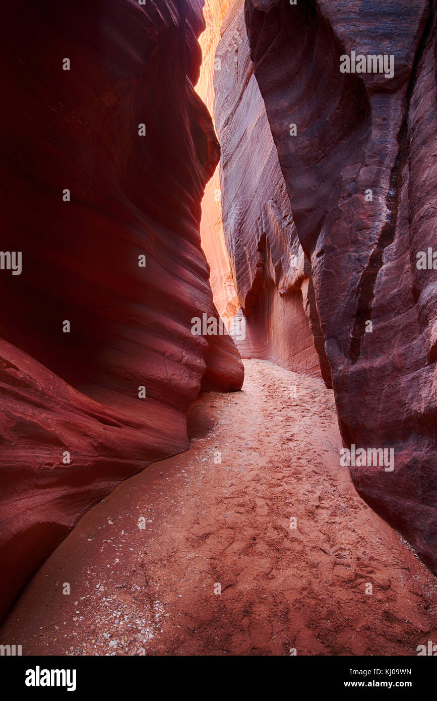 Passageway through the sandstone inside Wire Pass, southern Utah Stock ...