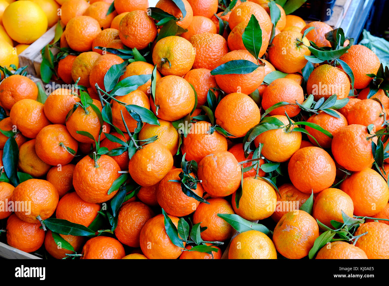 italian oranges on market food stall Stock Photo - Alamy