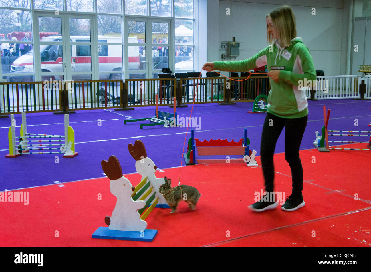 World S Highest Bunny Hop at Amy Barnes blog