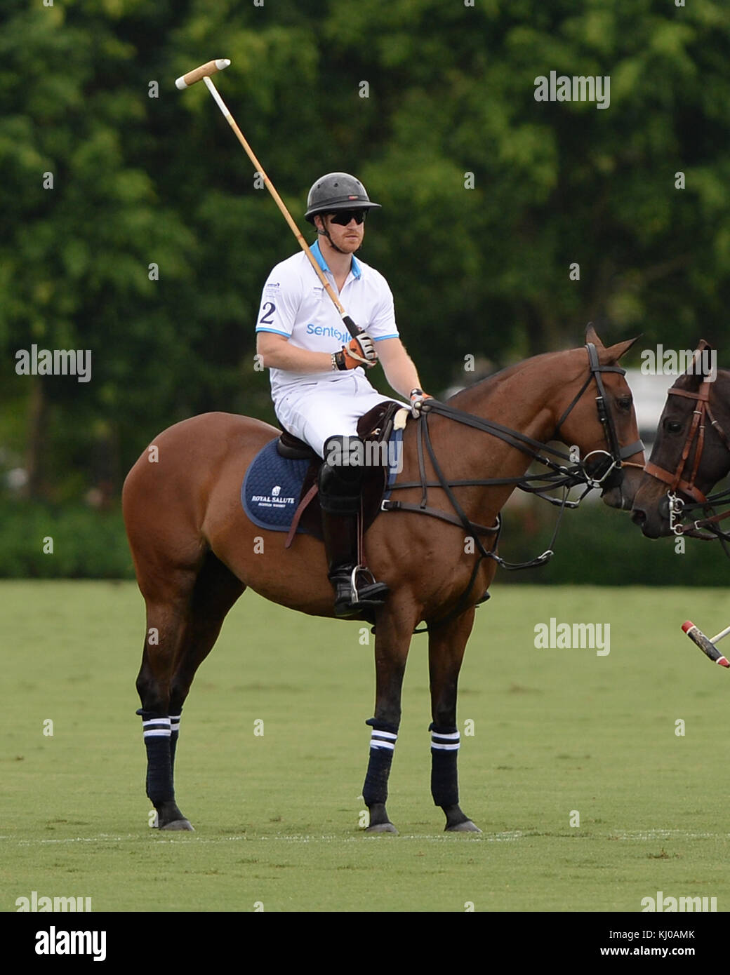 WELLINGTON, FL - MAY 04: Prince Henry of Wales participates in the ...