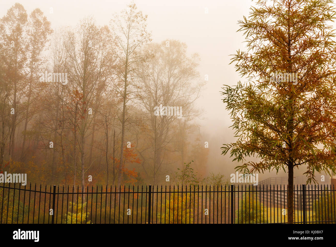 Trees in Fog by Black Wrought Iron Fence Stock Photo - Alamy