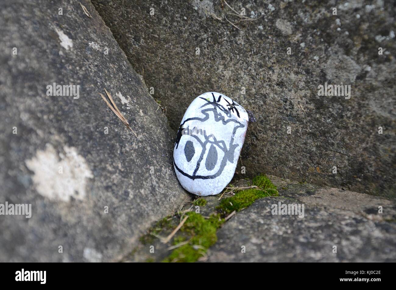 Painted rocks hidden for people to find and swap Stock Photo - Alamy