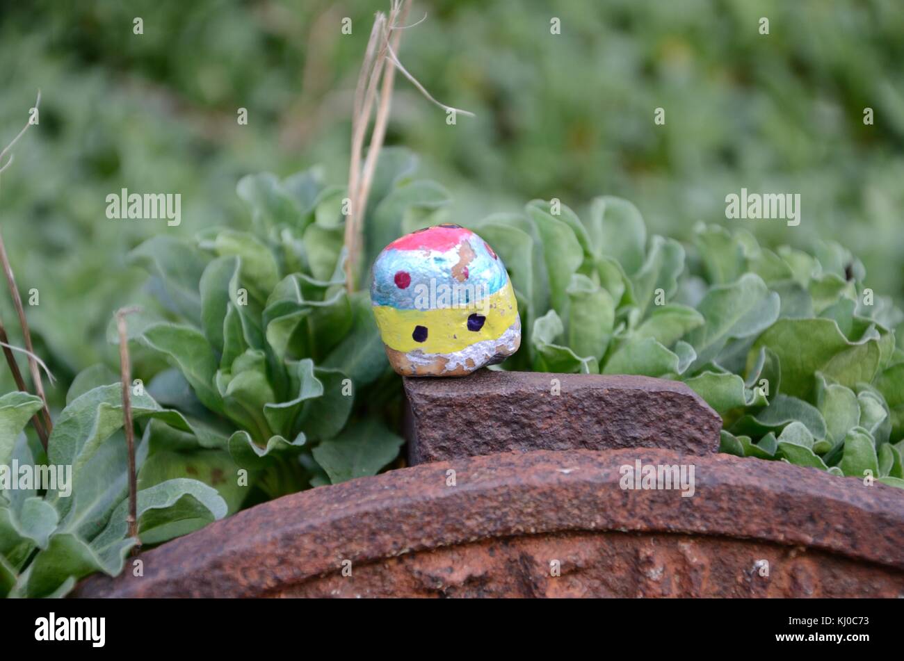 Painted rocks hidden for people to find and swap Stock Photo - Alamy