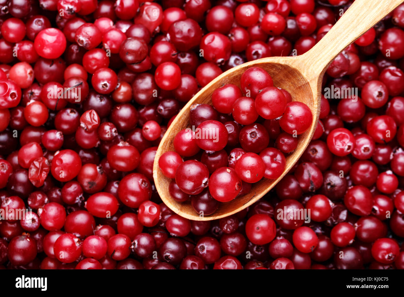 ripe cranberries are scattered as a background, an organic vitamin ...