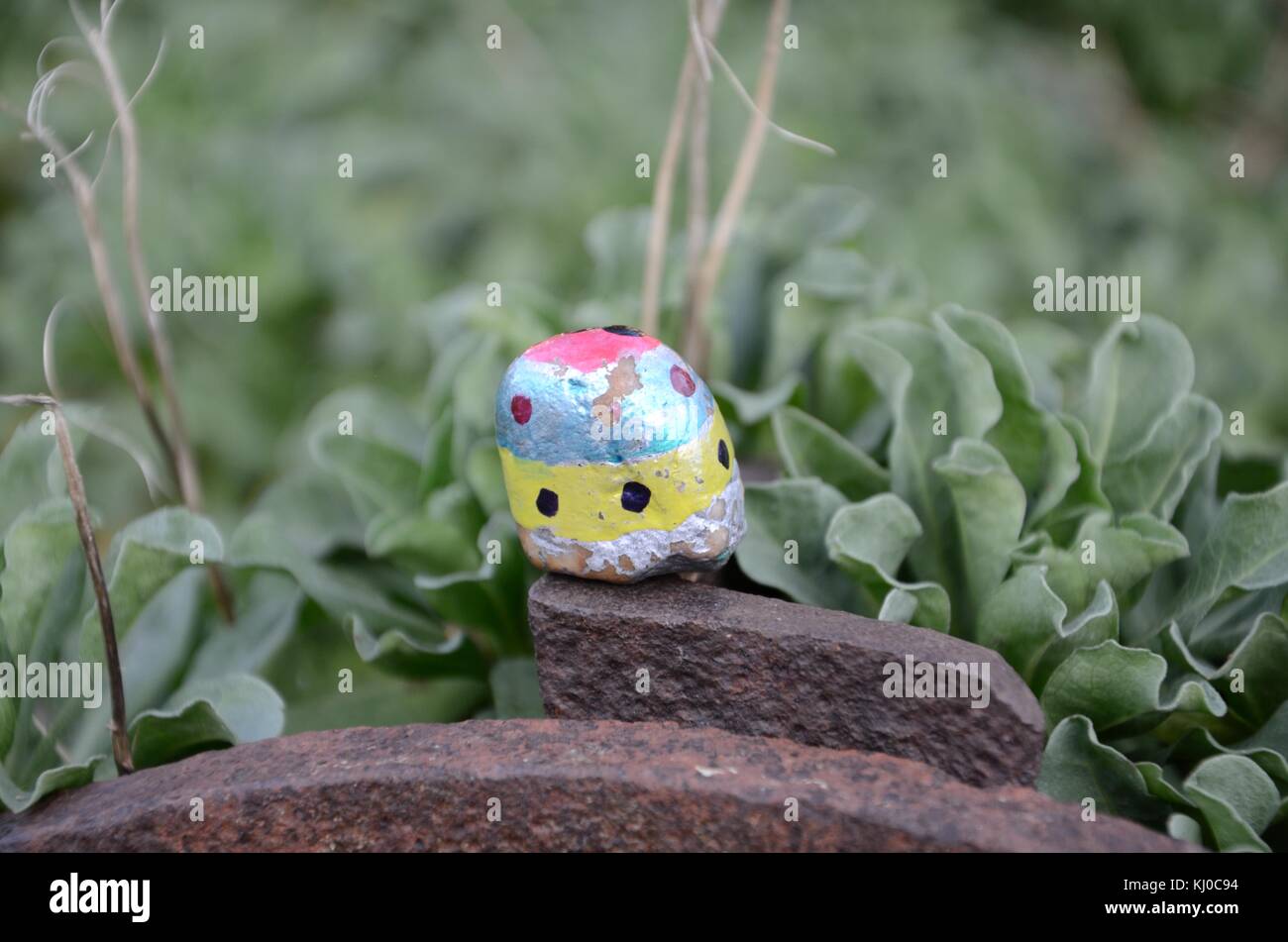 Painted rocks hidden for people to find and swap Stock Photo - Alamy