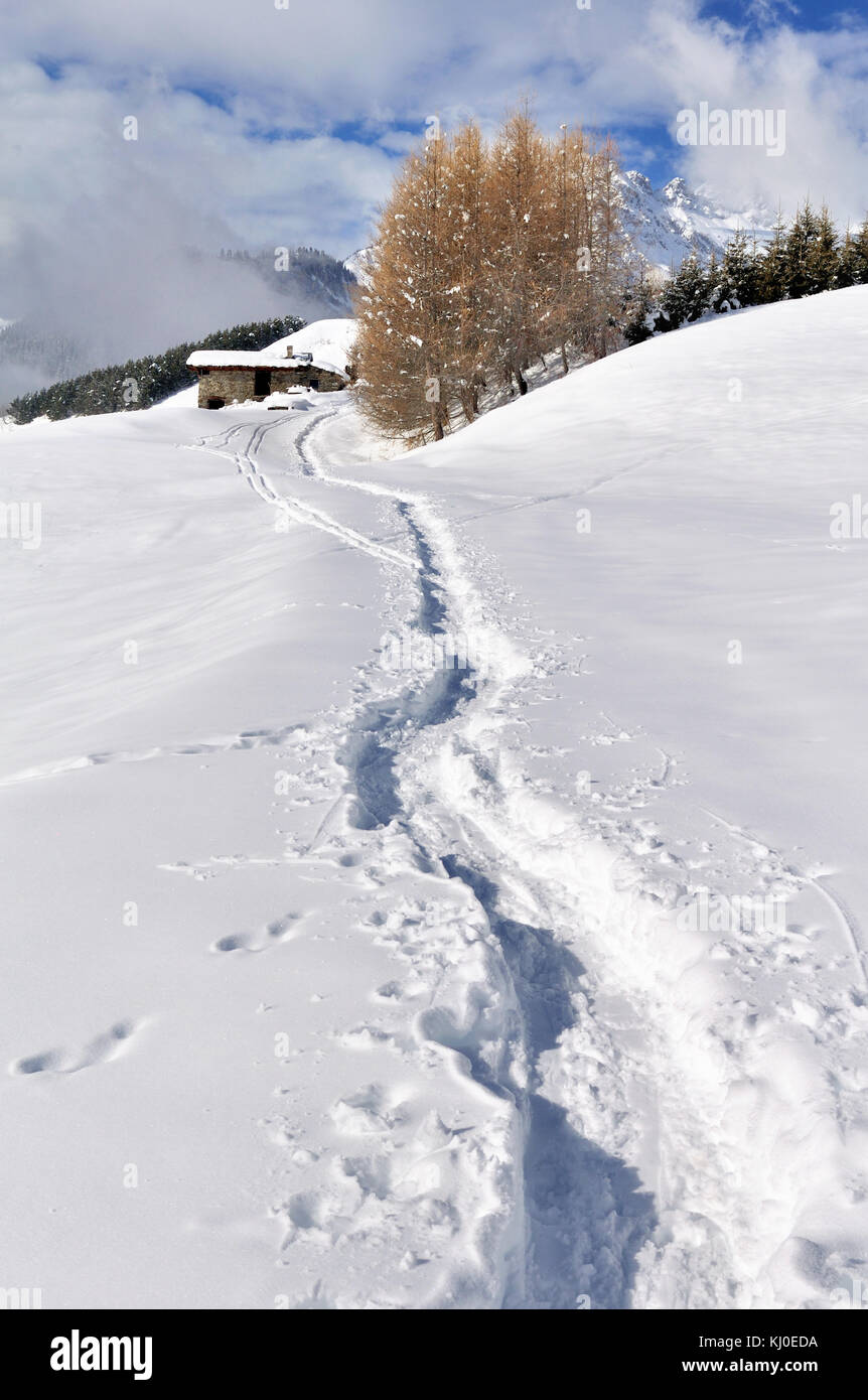 path in the snowy mountain Stock Photo - Alamy