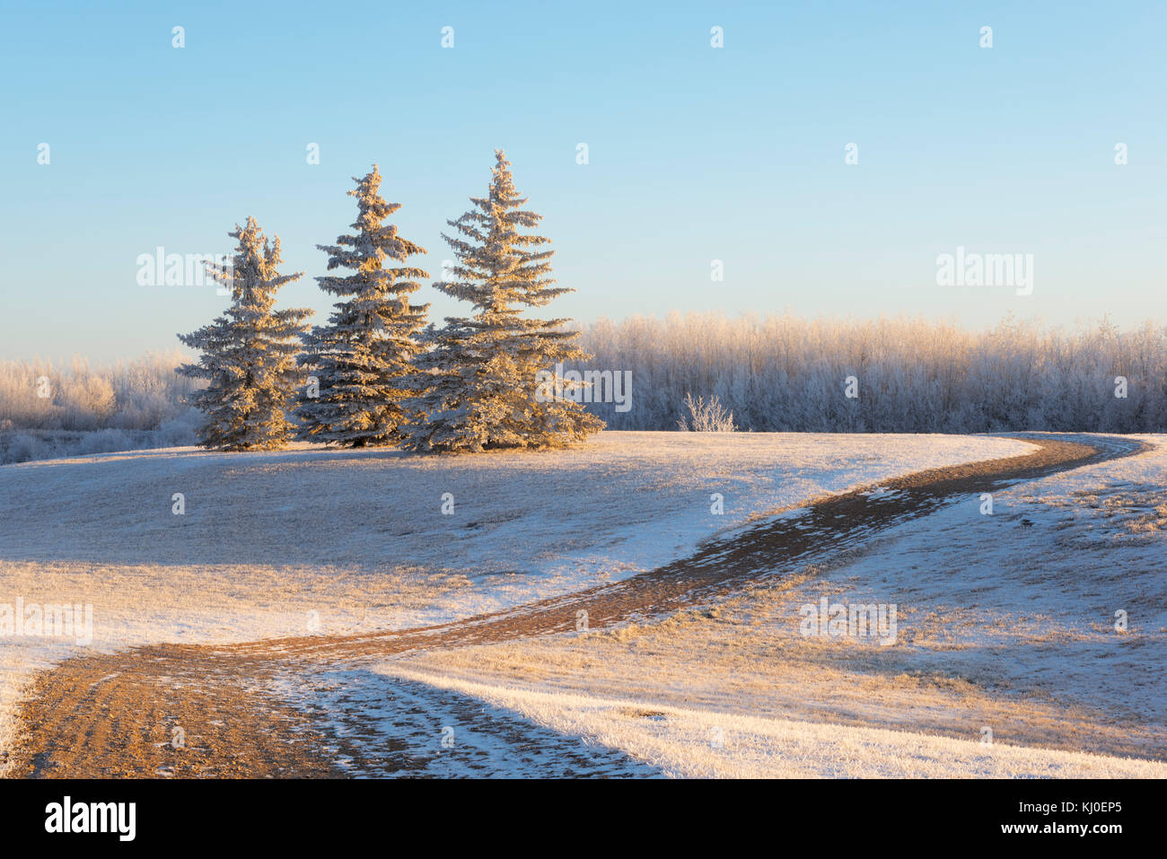 Cold landscape background hi-res stock photography and images - Alamy
