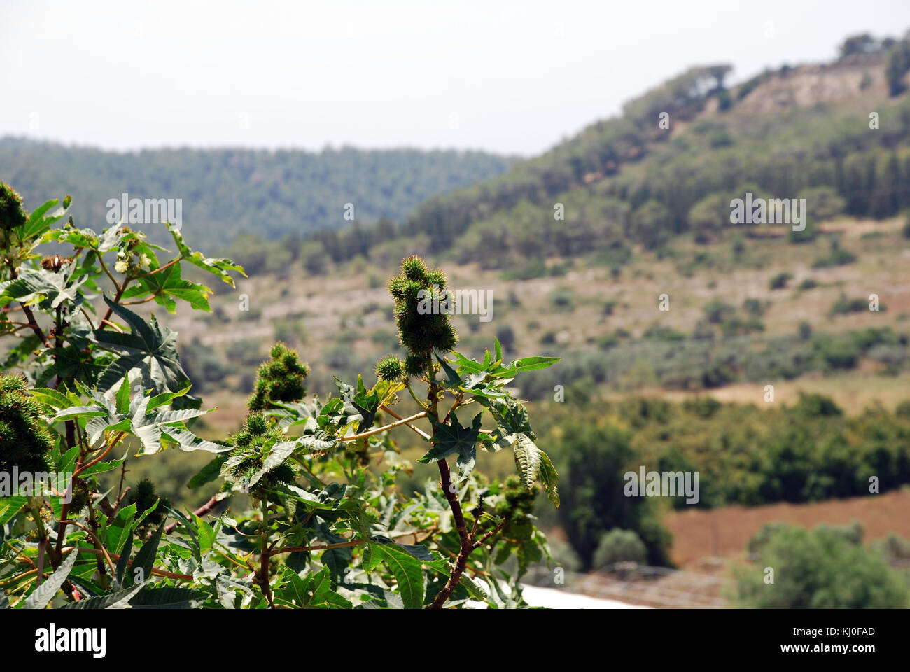 Israel 39897 Geography of Israel Stock Photo - Alamy