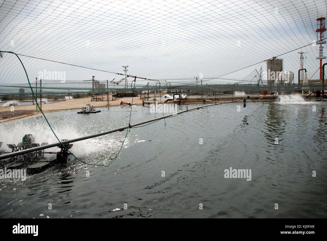 Israel 39908 Geography of Israel Stock Photo - Alamy