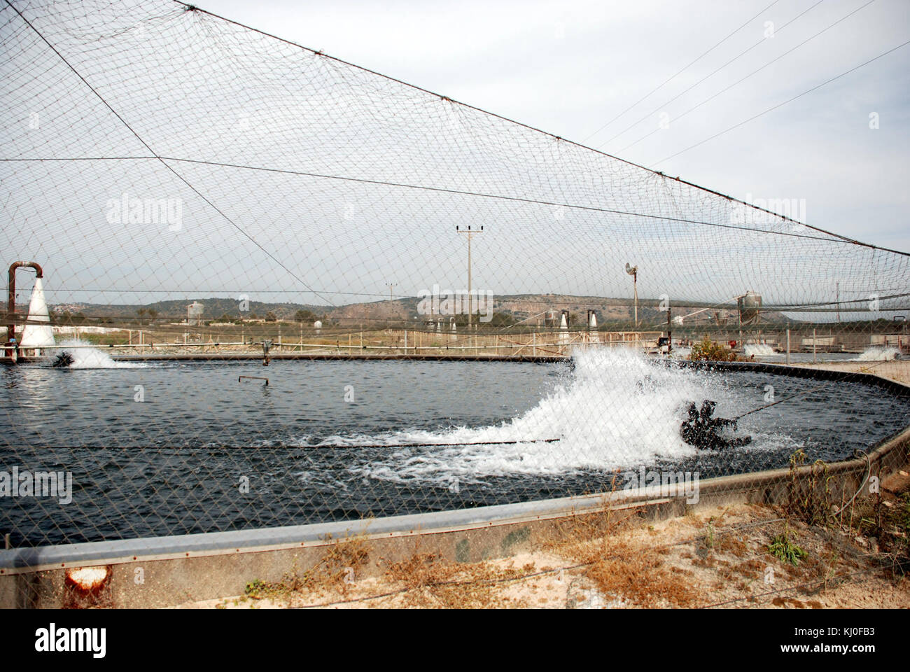 Israel 39912 Geography of Israel Stock Photo - Alamy
