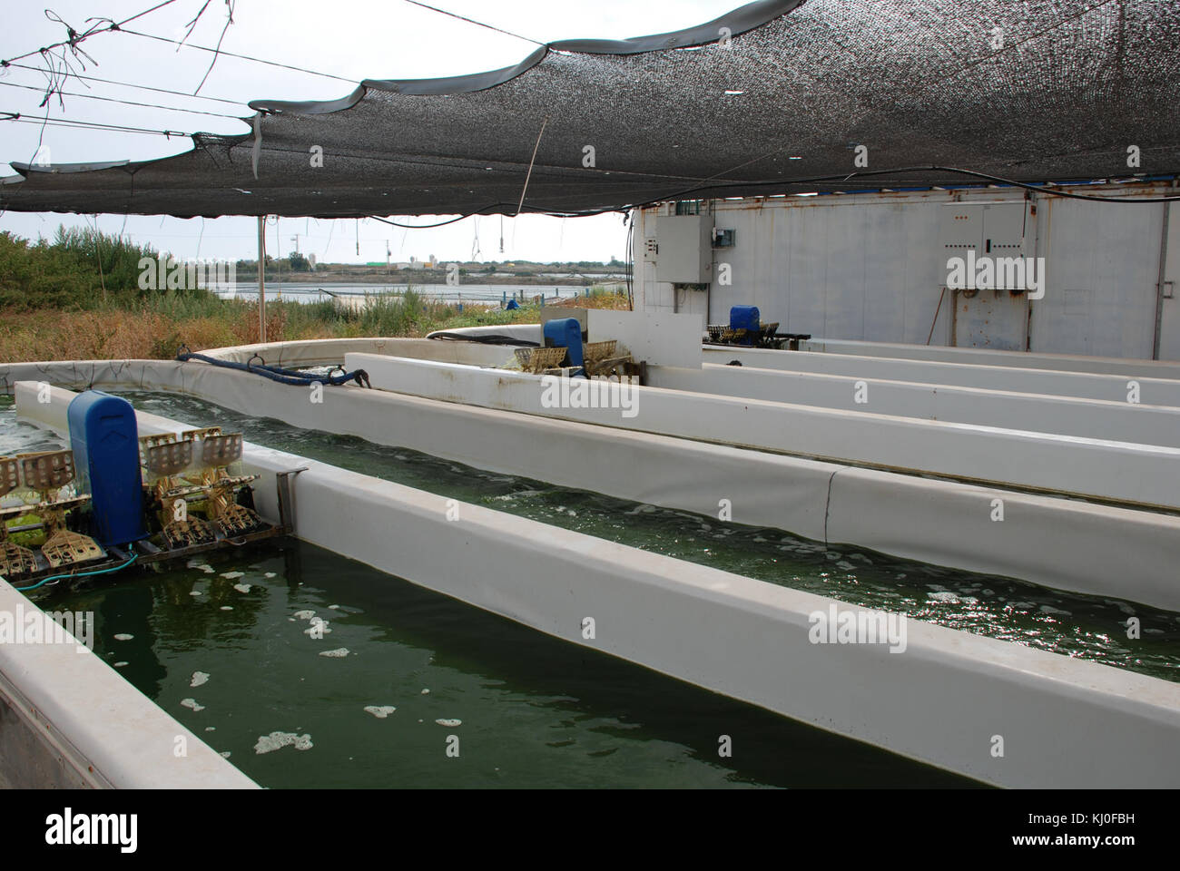 Israel 39921 Geography of Israel Stock Photo - Alamy