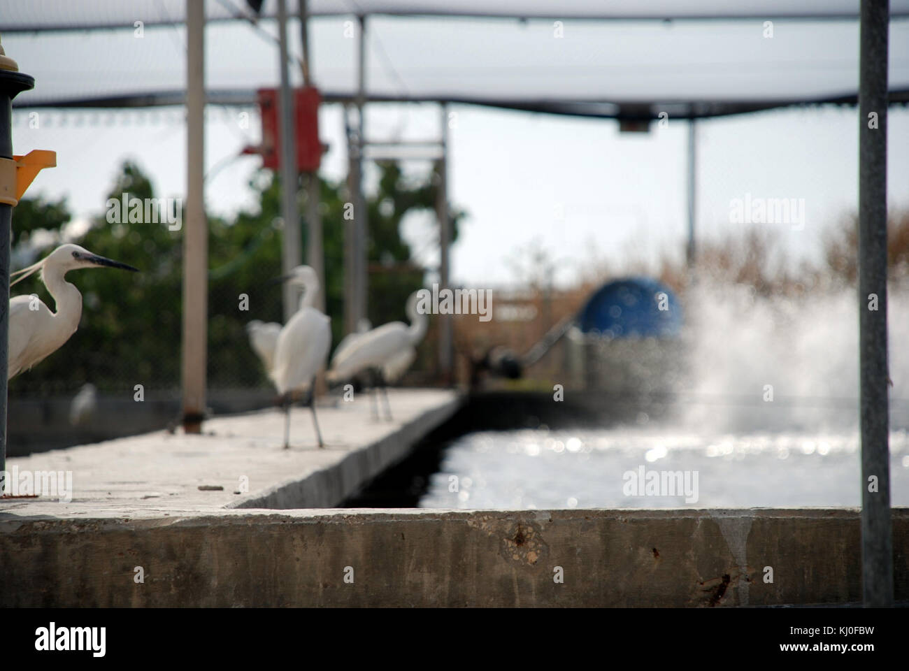 A detailed map showcasing the geography of Israel, highlighting the ...