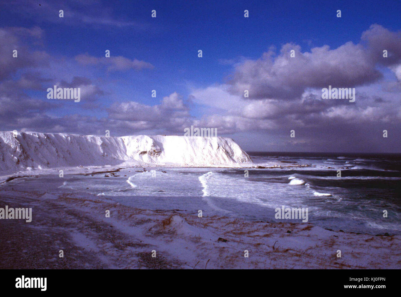 Glacier with snow on the banks of the cold ocean Stock Photo - Alamy