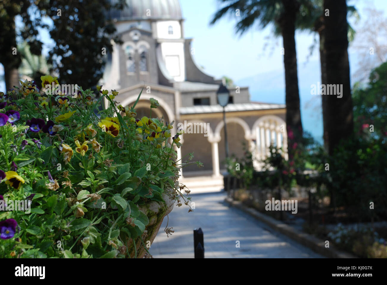Israeli terrain hi-res stock photography and images - Alamy
