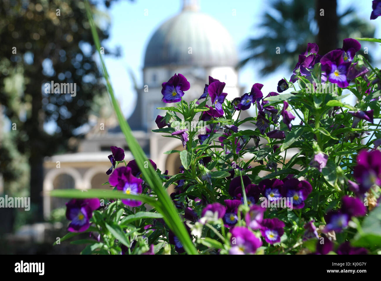 Israel 40132 Geography of Israel Stock Photo - Alamy