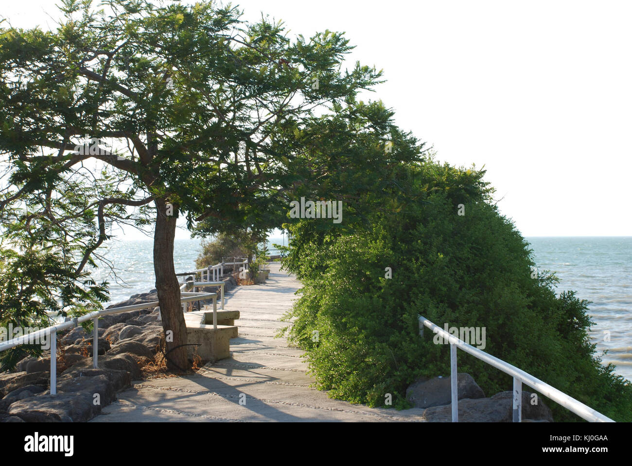 Israel 40061 Geography of Israel Stock Photo - Alamy