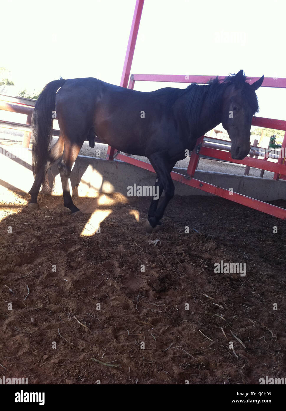 17400 hi-res stock photography and images - Alamy