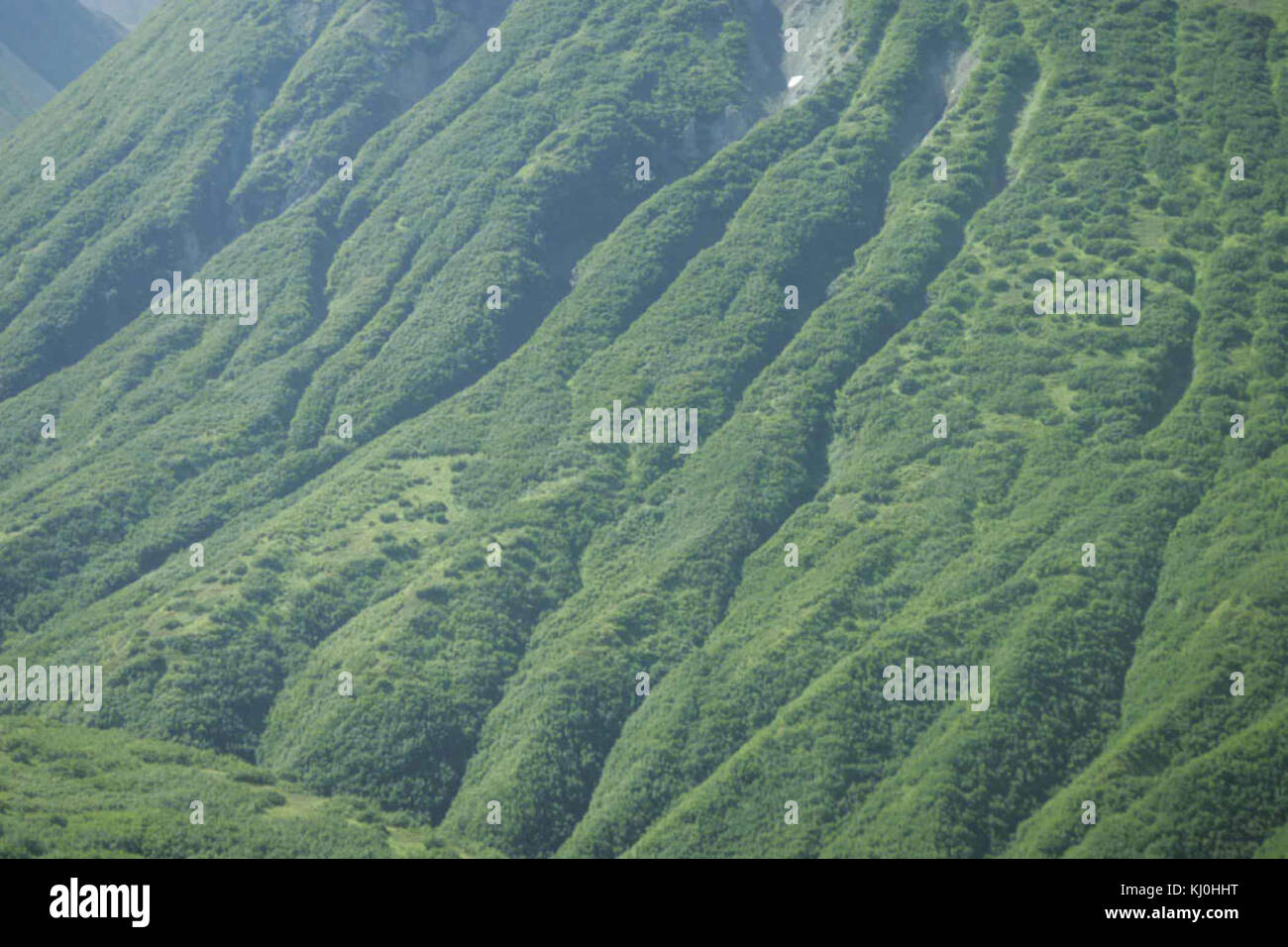 Green hills aerial view Stock Photo - Alamy