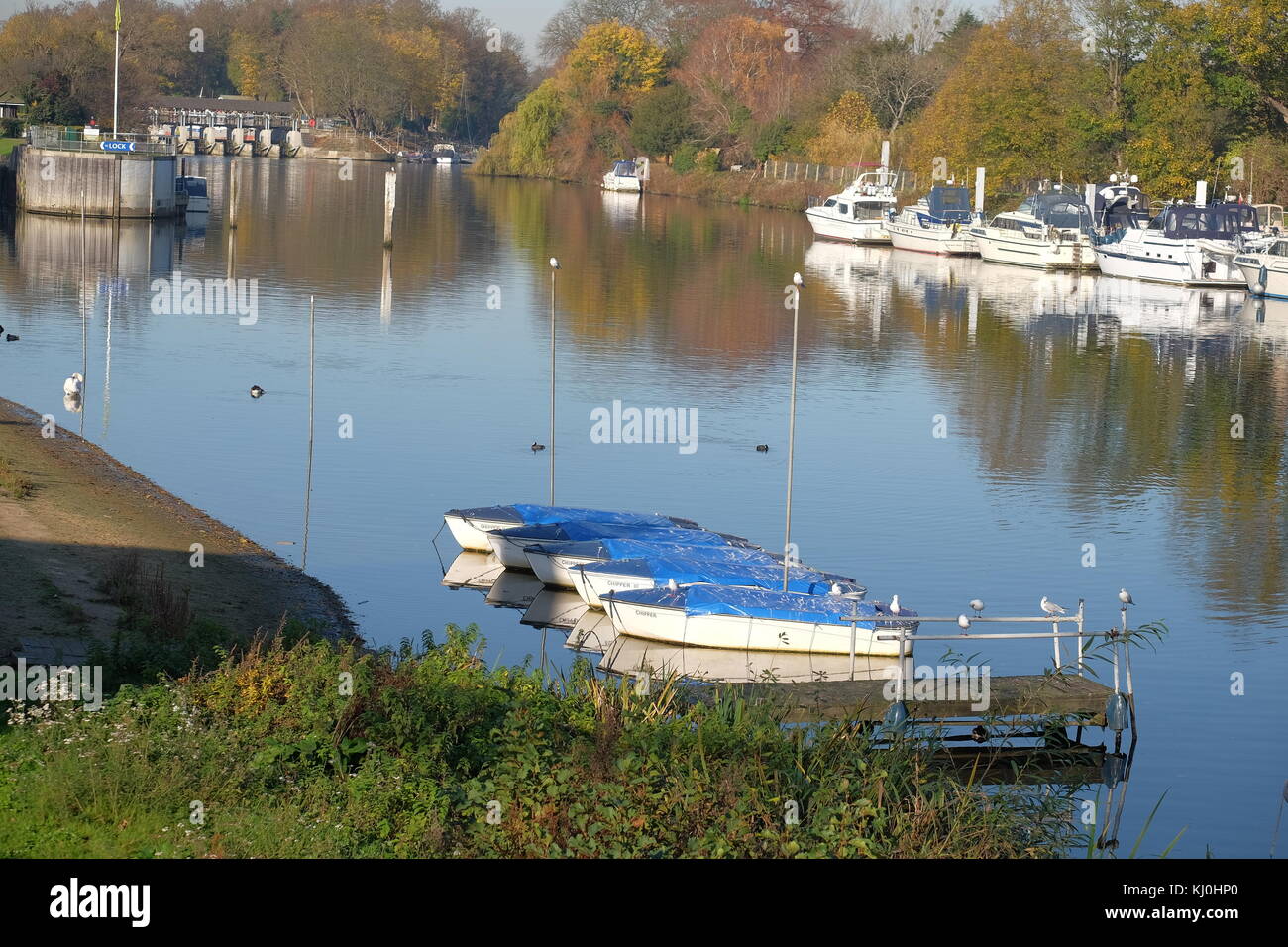 molesey lock and thames flood barrier Stock Photo - Alamy