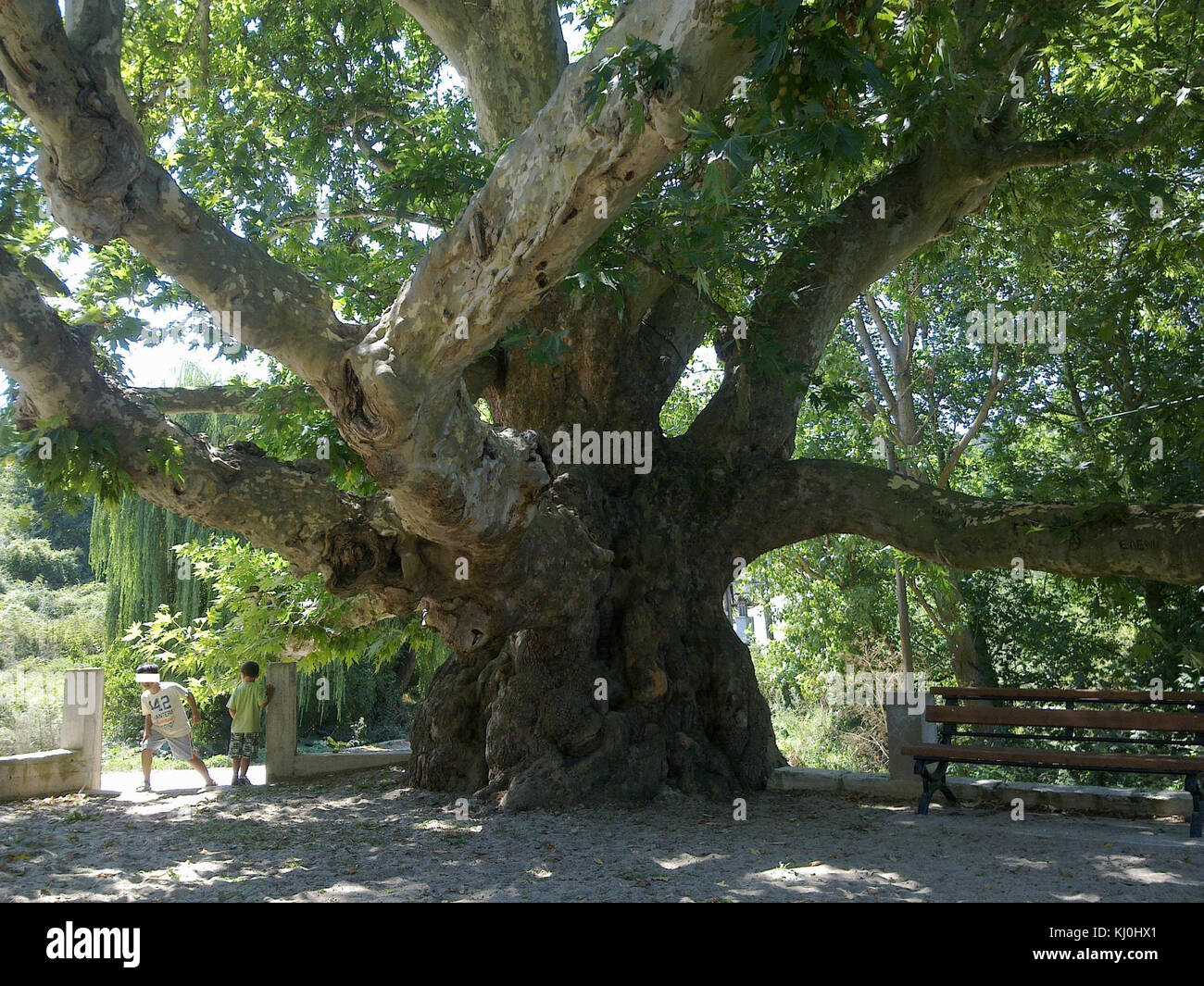 Pirgi hi-res stock photography and images - Alamy