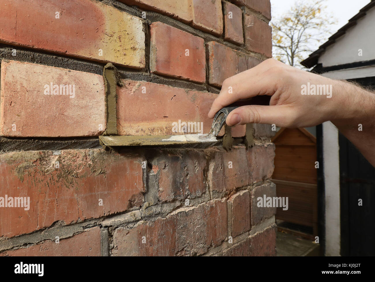 Richard Burr pointing a wall for his DIY feature column Stock Photo - Alamy