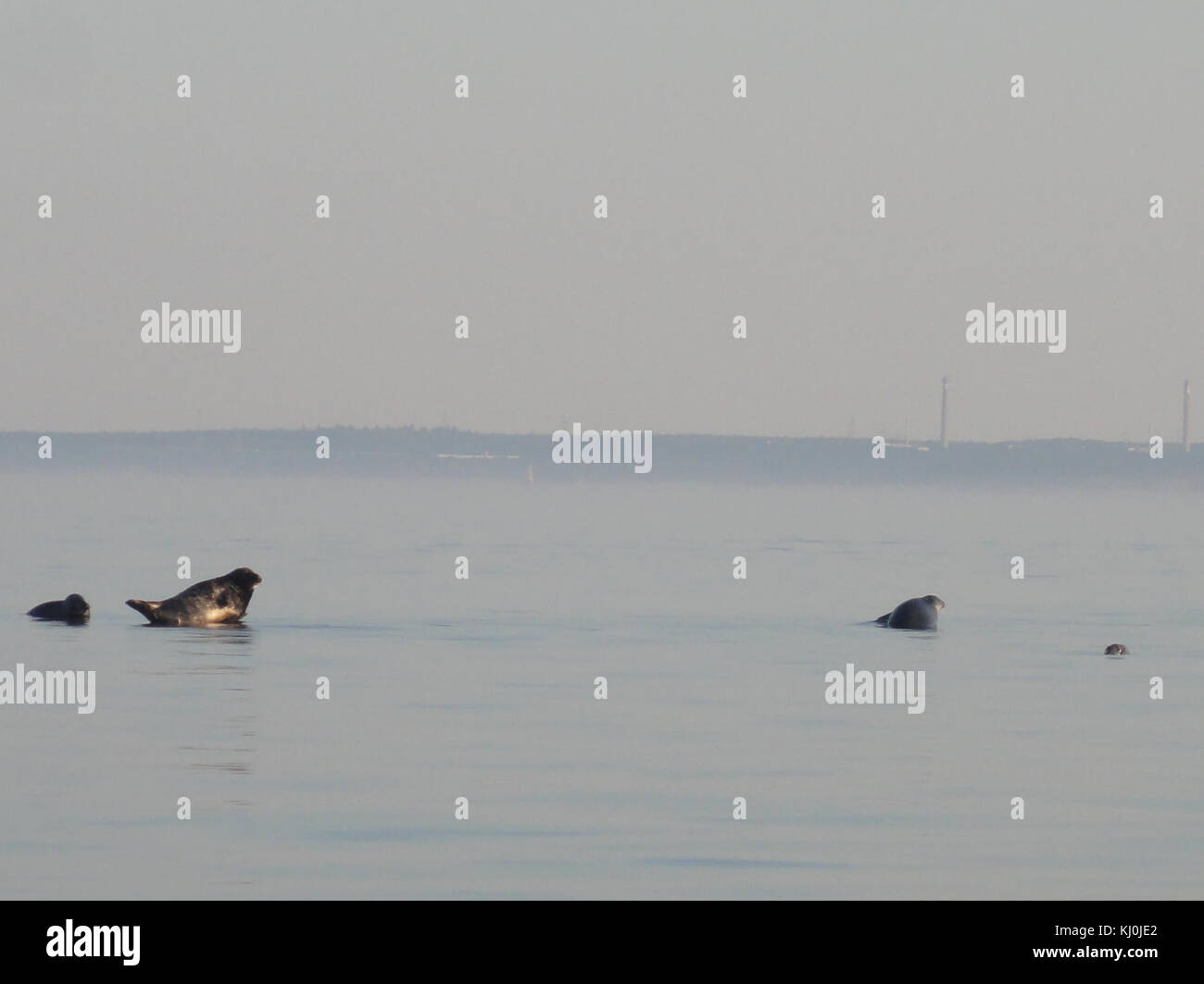 Stubber hi-res stock photography and images - Alamy