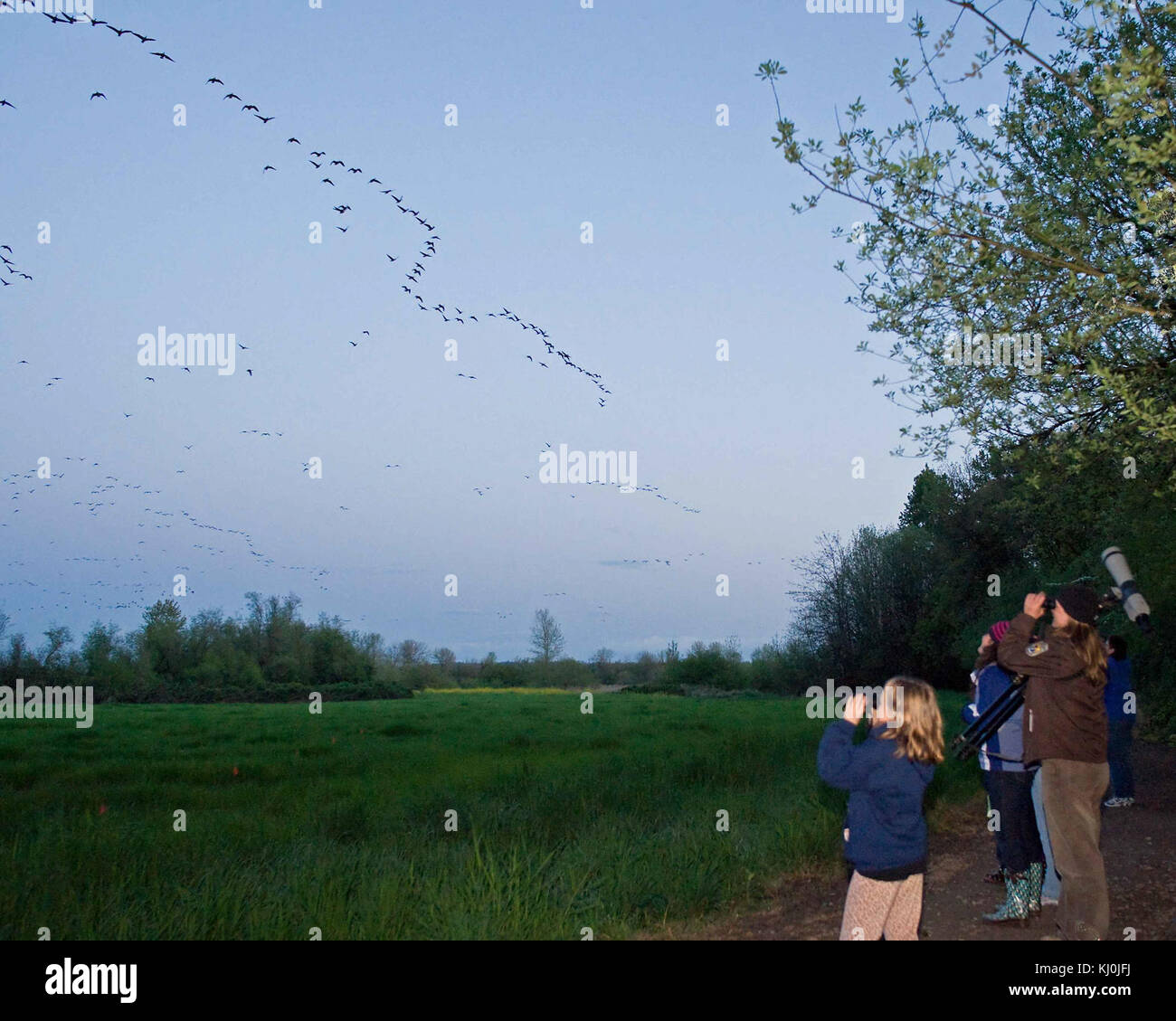 Group of girl scouts enjoys birdwatching Stock Photo - Alamy
