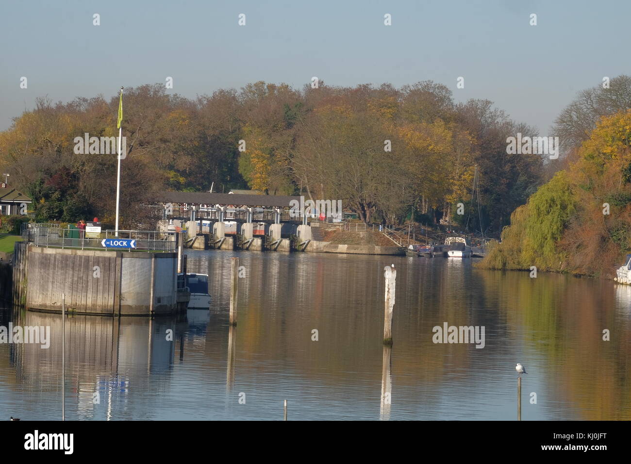 molesey lock and thames flood barrier Stock Photo - Alamy