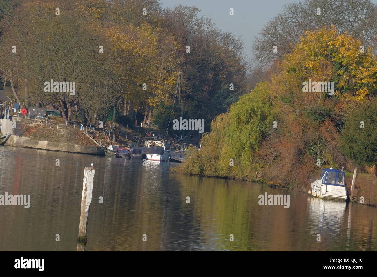 molesey lock and thames flood barrier Stock Photo - Alamy