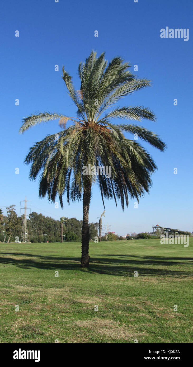 21135 hi-res stock photography and images - Alamy