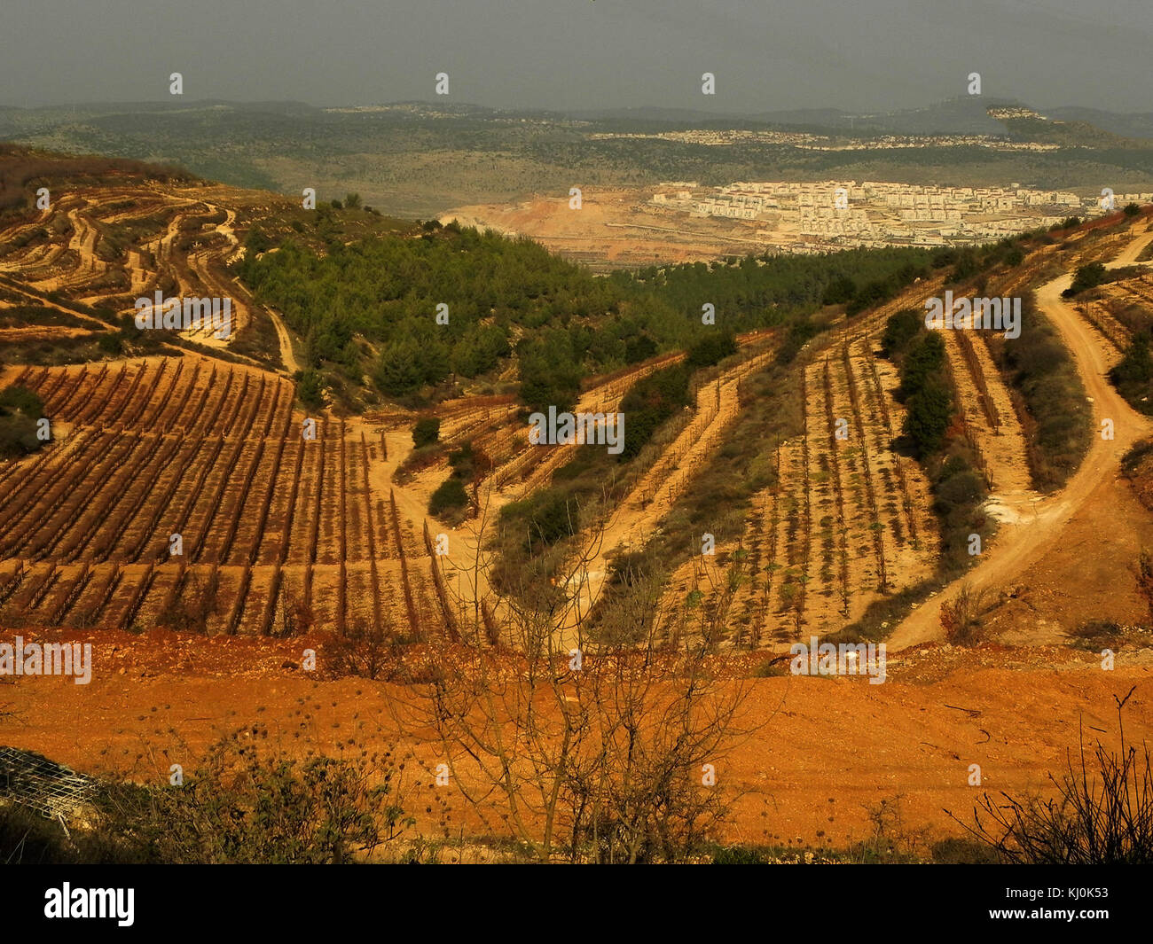 Topographical map of israel hi-res stock photography and images - Alamy
