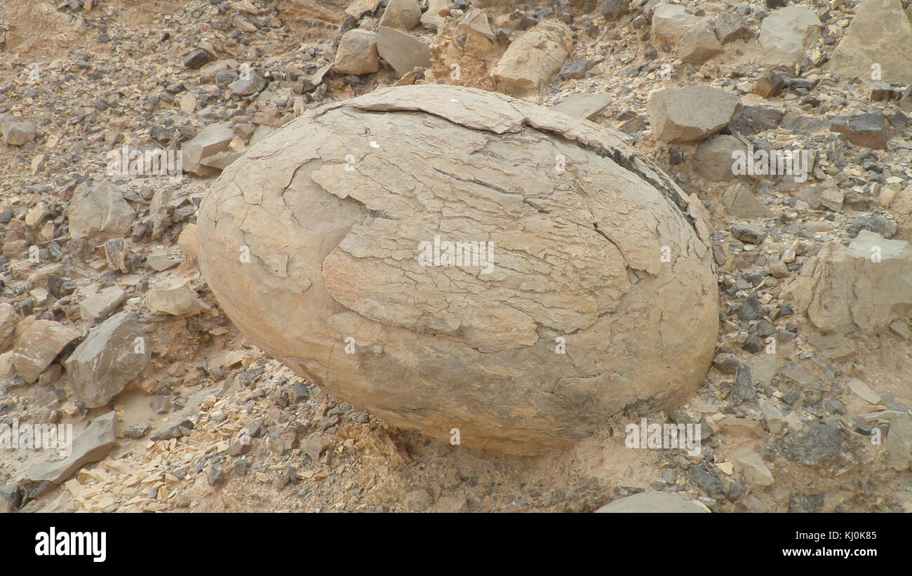 Yahel hi-res stock photography and images - Alamy