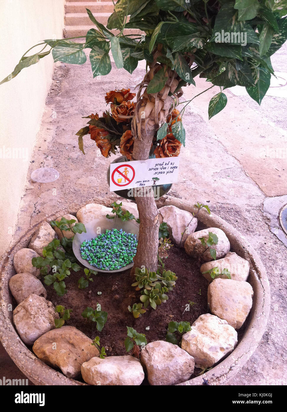 Israel 17429 Tree Stock Photo - Alamy