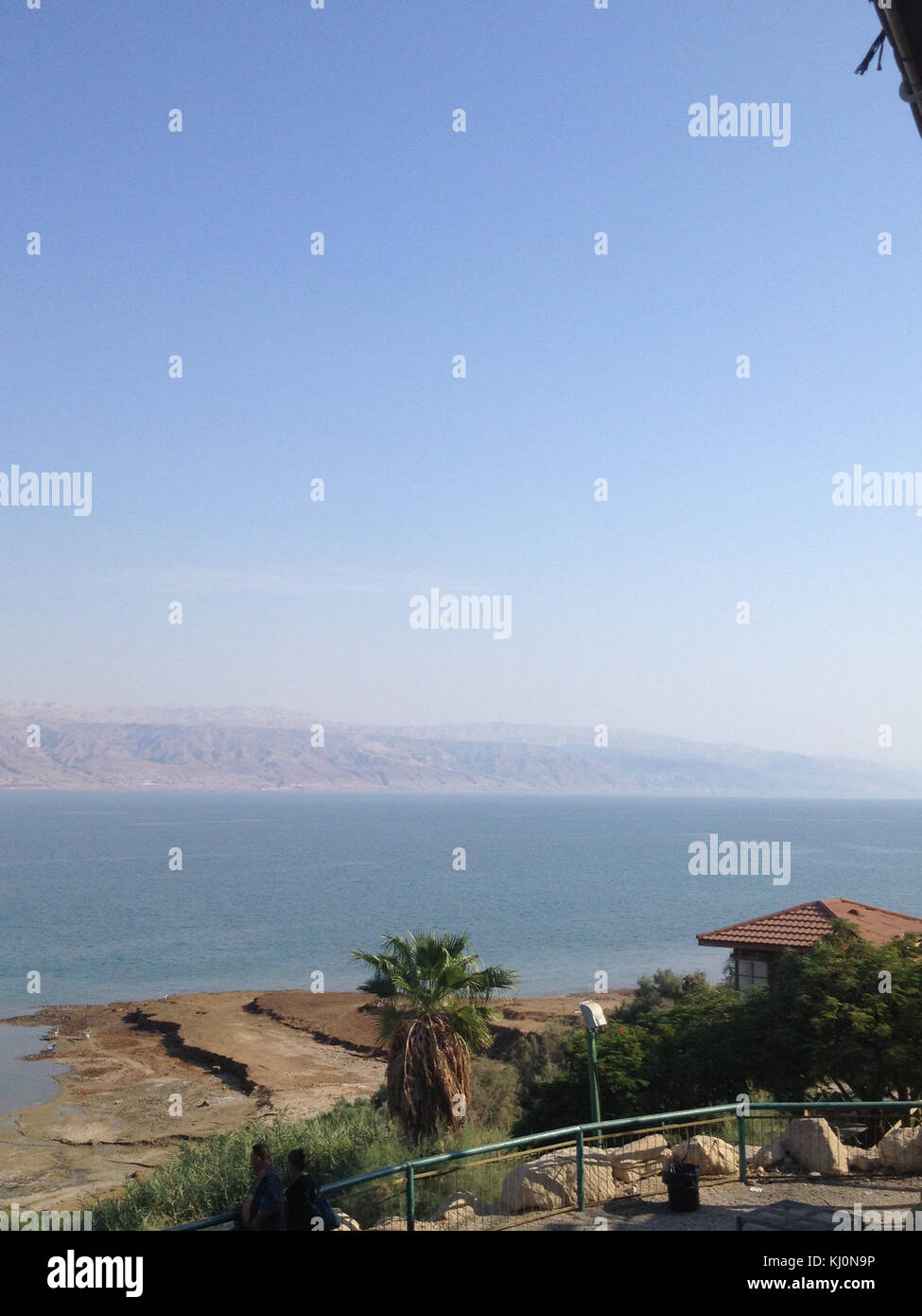 This image captures the natural environment of Israel, showcasing ...