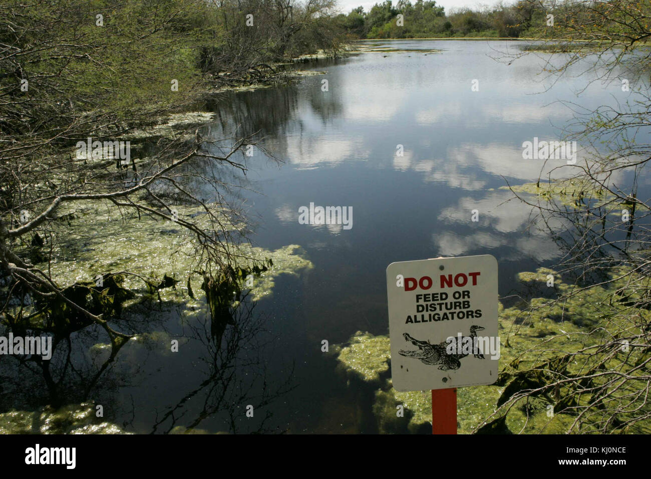 Alligator warning sign Stock Photo - Alamy