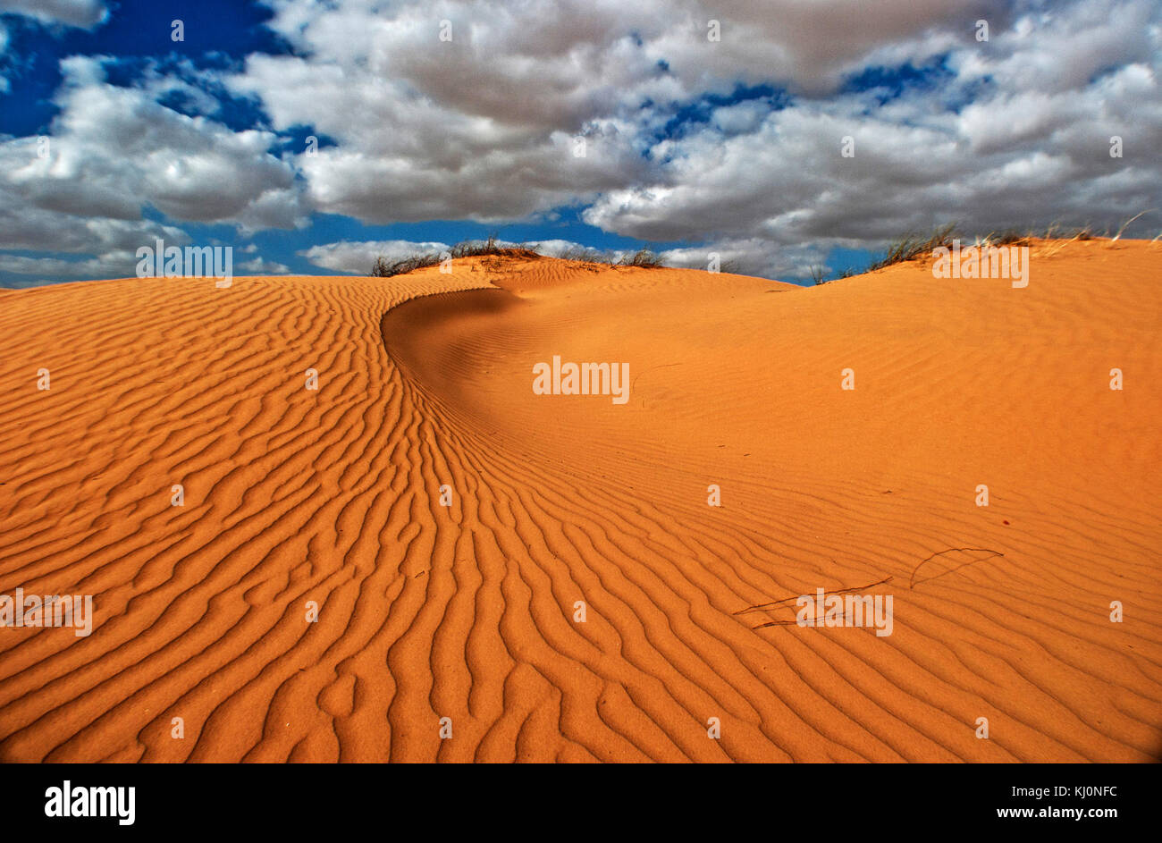 Sandscapes in desert hi-res stock photography and images - Alamy