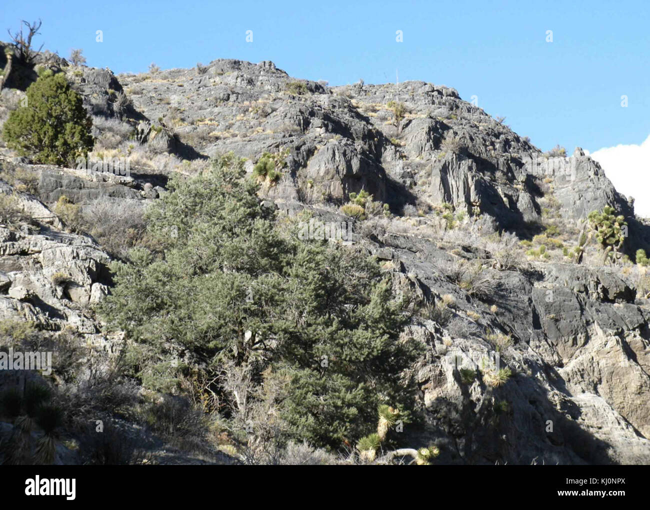 A hillside in a desert landscape, featuring arid terrain, rocky slopes ...