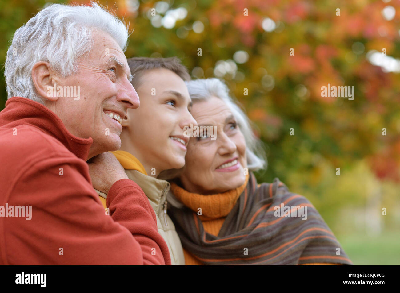 grandparents and grandson in park Stock Photo - Alamy