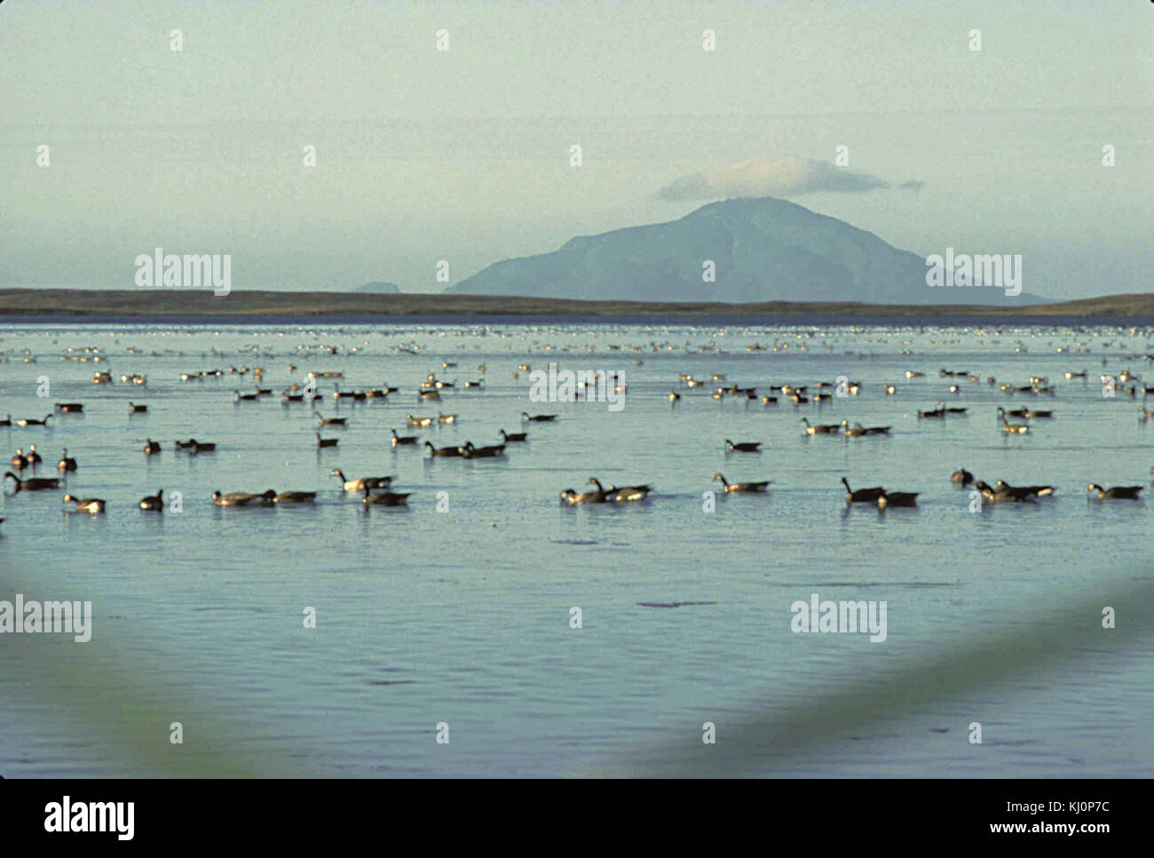 Izembek lagoon and Amak island Stock Photo - Alamy