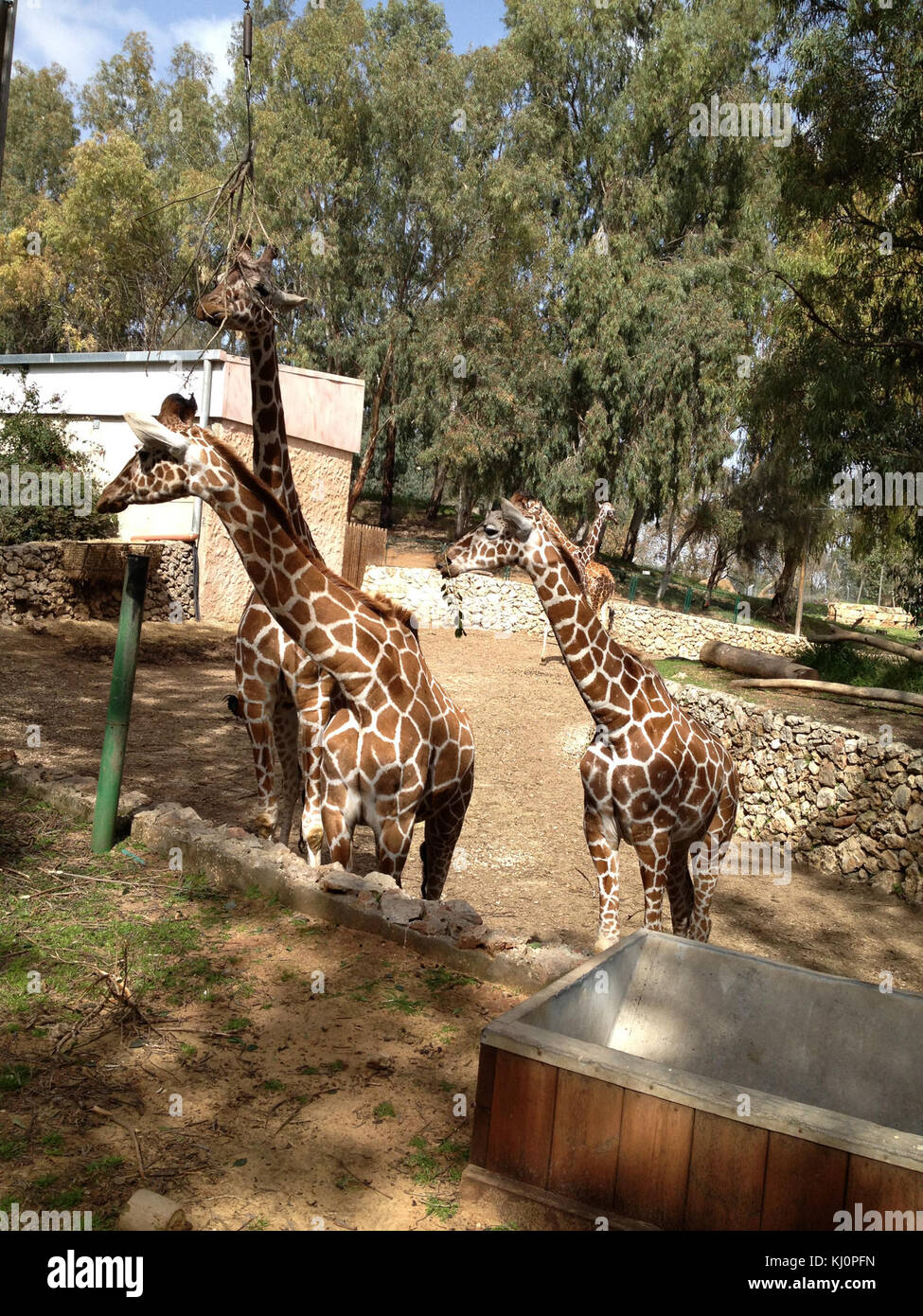 Israel 30556 Geography of Israel Stock Photo - Alamy