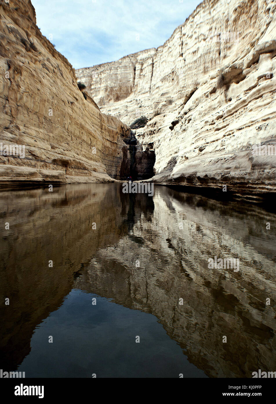 Israel 36653 water pool Stock Photo - Alamy