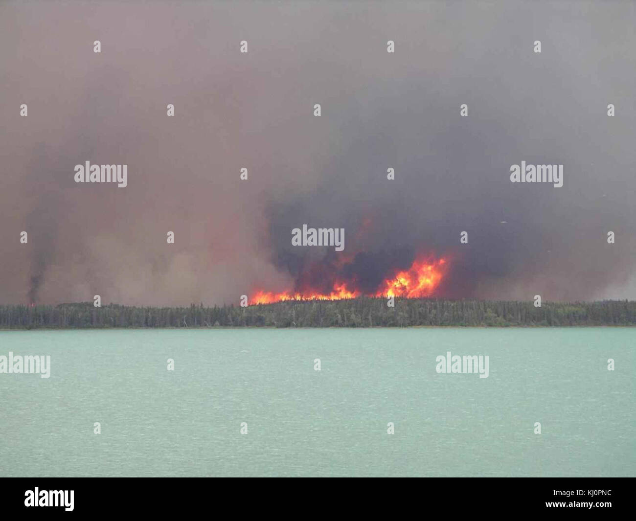 Huge fire flames from forest fire Stock Photo - Alamy