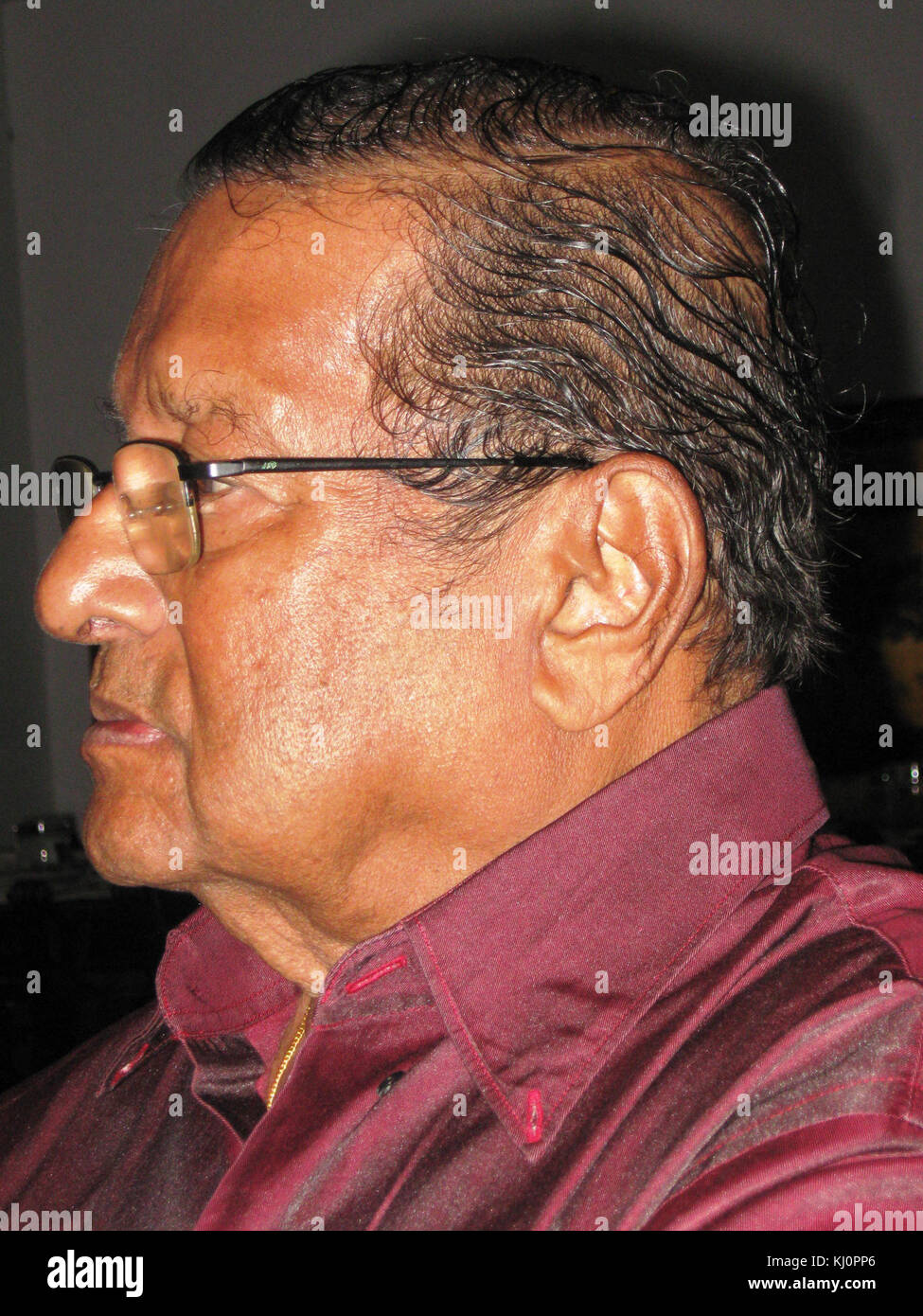 Gamini hi-res stock photography and images - Alamy