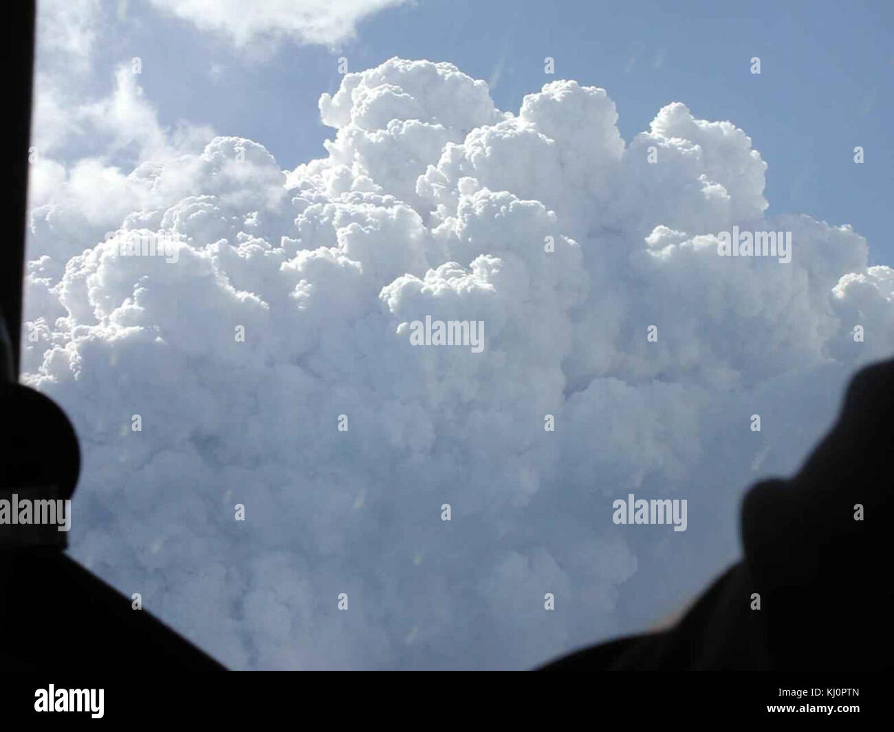 Huge white and gray smoke rising from forest fire Stock Photo - Alamy
