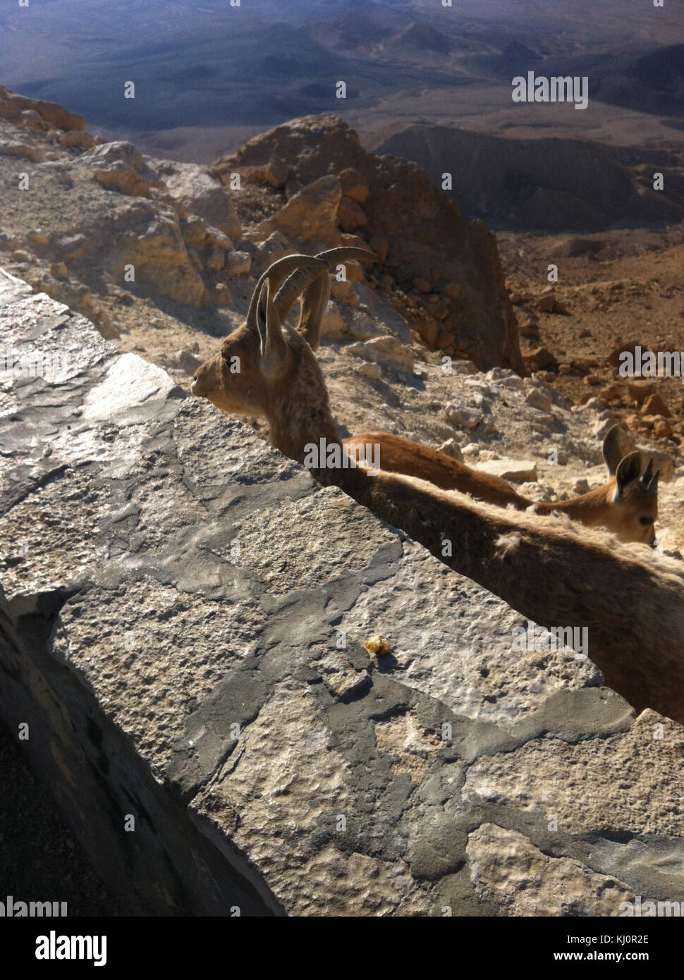 Israeli borders hi-res stock photography and images - Alamy