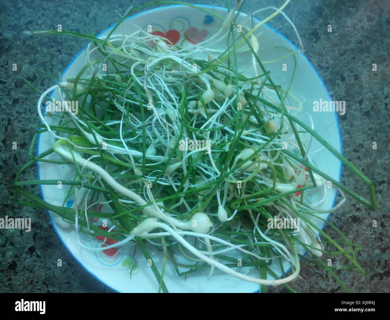 Allium macrostemon - LNDDYL Stock Photo - Alamy