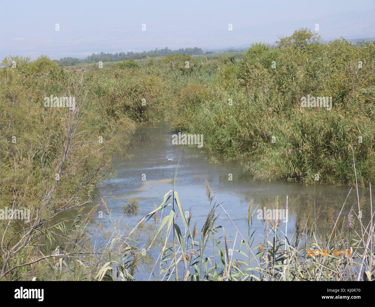 Israel 35445 Nature and Colors Stock Photo - Alamy